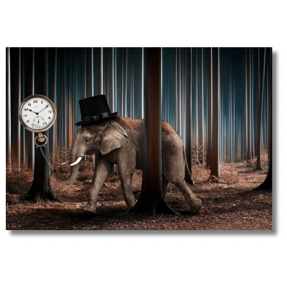 Fancy Elephant – MR Design